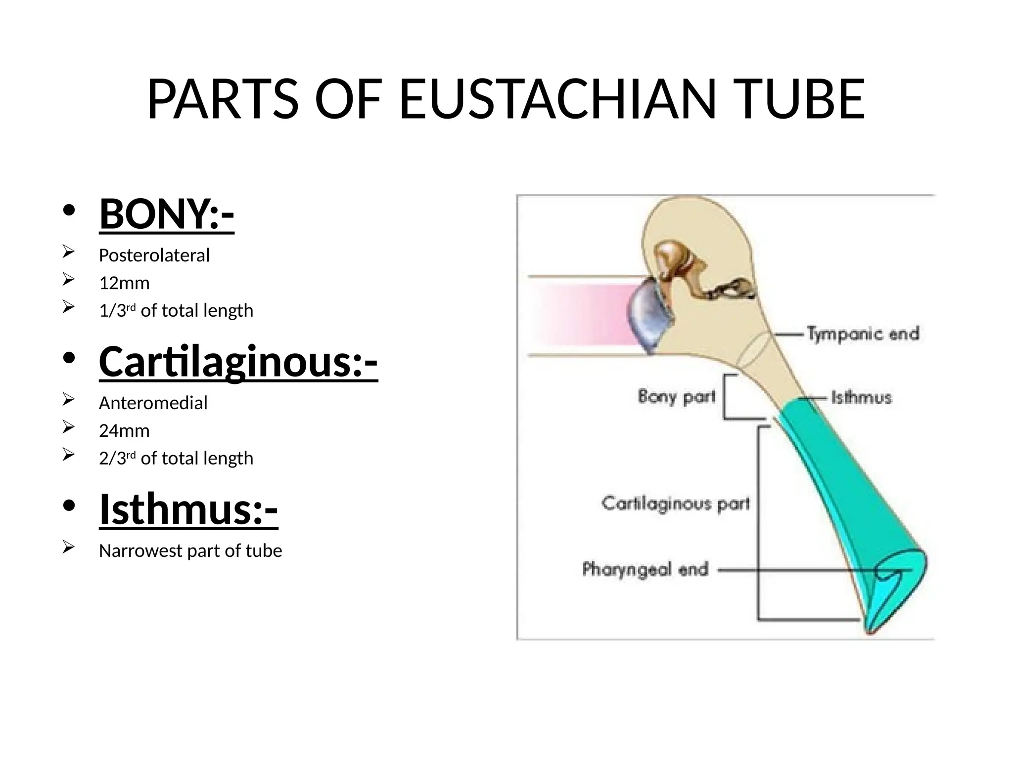 eustachian tube anatomy DFTDTFYGUHDFCand physiology.pptx