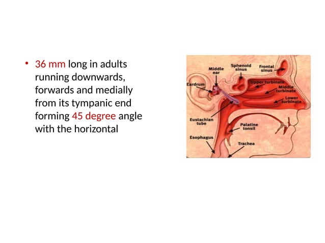 eustachian tube anatomy DFTDTFYGUHDFCand physiology.pptx