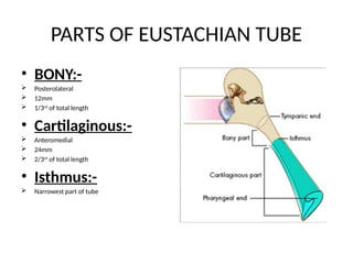 eustachian tube anatomy DFTDTFYGUHDFCand physiology.pptx