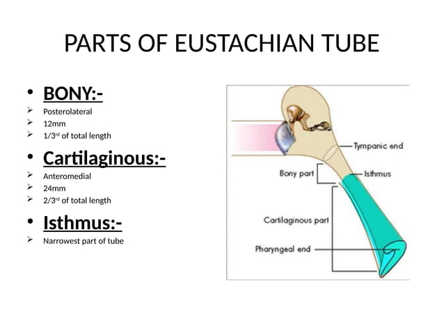 eustachian tube anatomy DFTDTFYGUHDFCand physiology.pptx