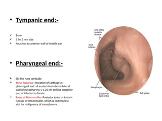 eustachian tube anatomy DFTDTFYGUHDFCand physiology.pptx