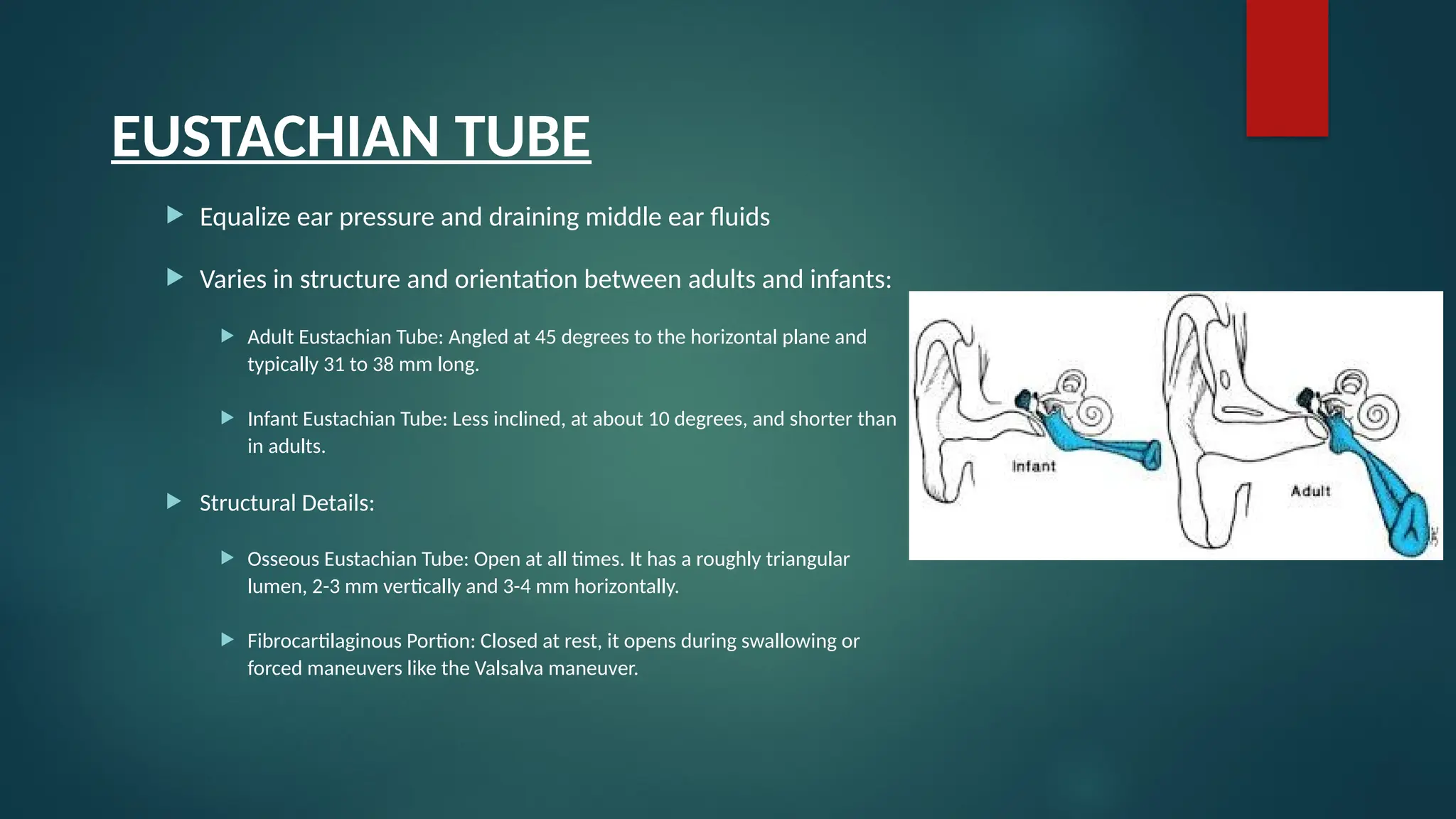 EUSTACHIAN TUBE DISORDERS (EVERYTHING YOU NEED TO KNOW).pptx
