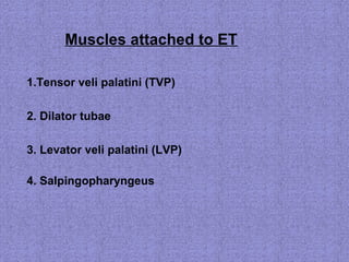 Eustachian tube final PP ANATOMY,EMBRYOLOGY,FUNCTIONS,DYSFUNCTIONS ...