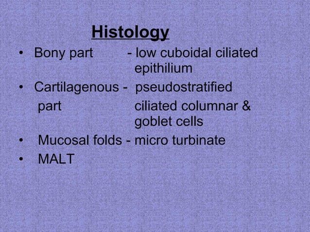 Eustachian tube final PP ANATOMY,EMBRYOLOGY,FUNCTIONS,DYSFUNCTIONS ...