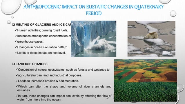 EUSTATIC CHANGES IN QUATERNARY_083406.pptx | Geography | Science