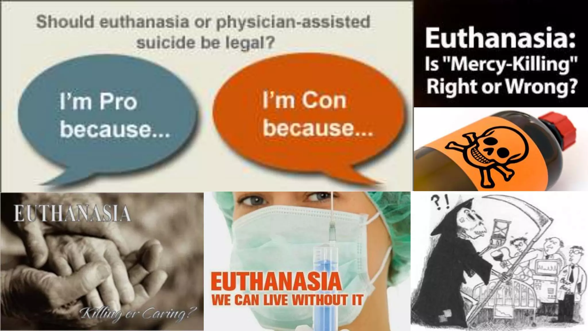 Euthanasia - The Right to Die | PPTX | Medical Health