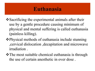 Euthanasia | PPTX
