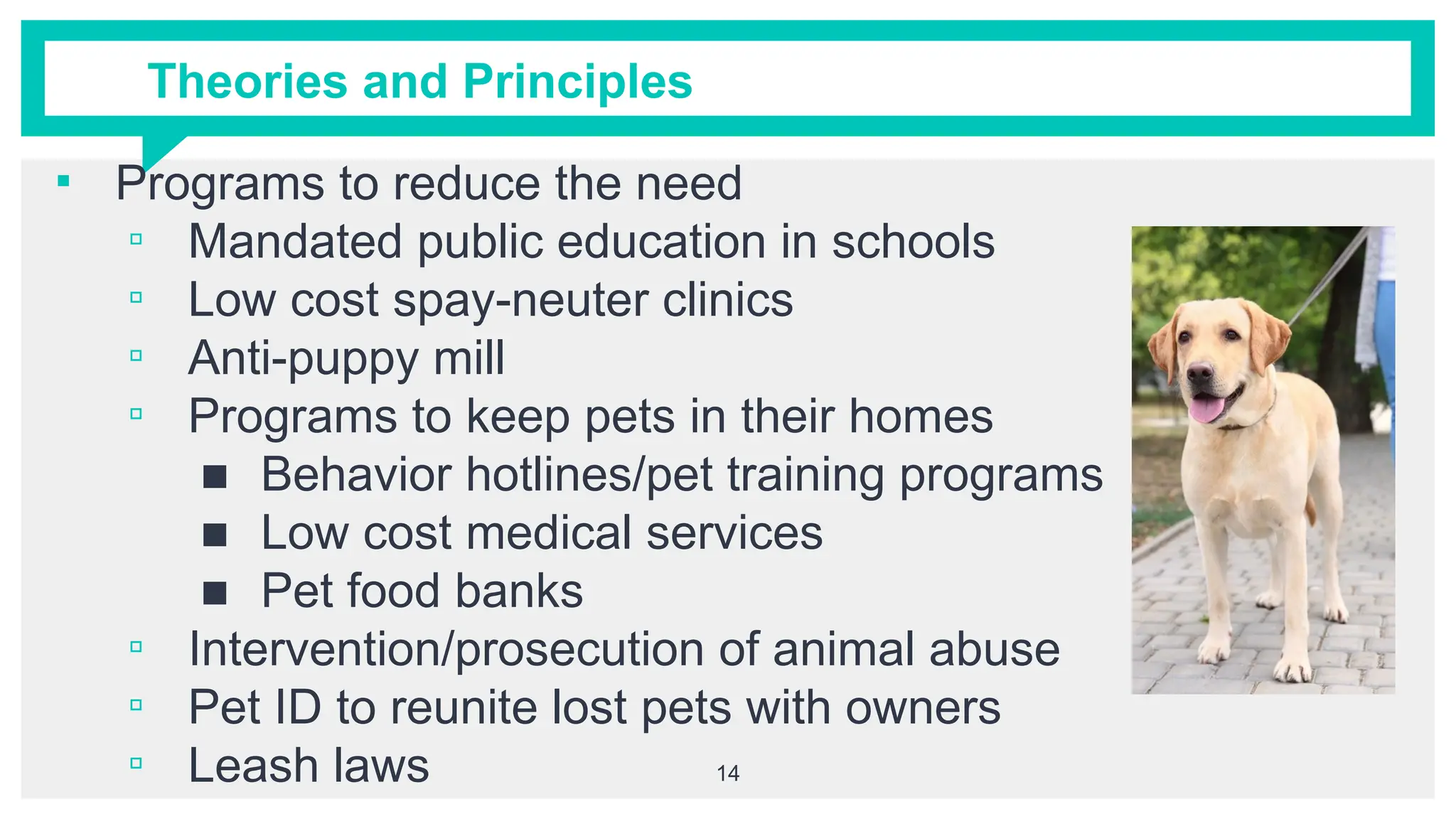 Euthanasia in veterinary science industry | PPTX