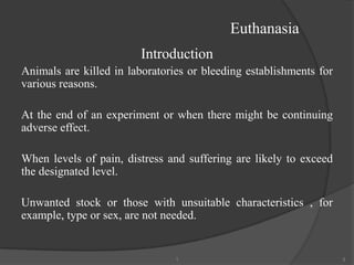 Euthanasia converted | PDF