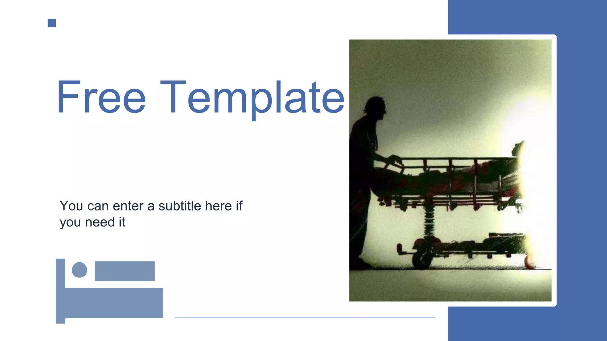 Euthanasia-Template.pptx