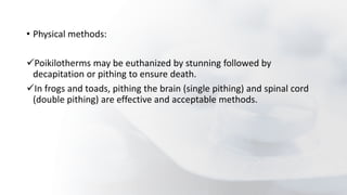 Euthanasia in Experimental Animals.pptx