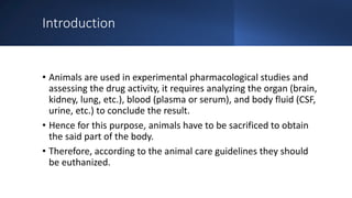 Euthanasia in Experimental Animals.pptx