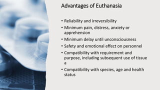 Euthanasia in Experimental Animals.pptx