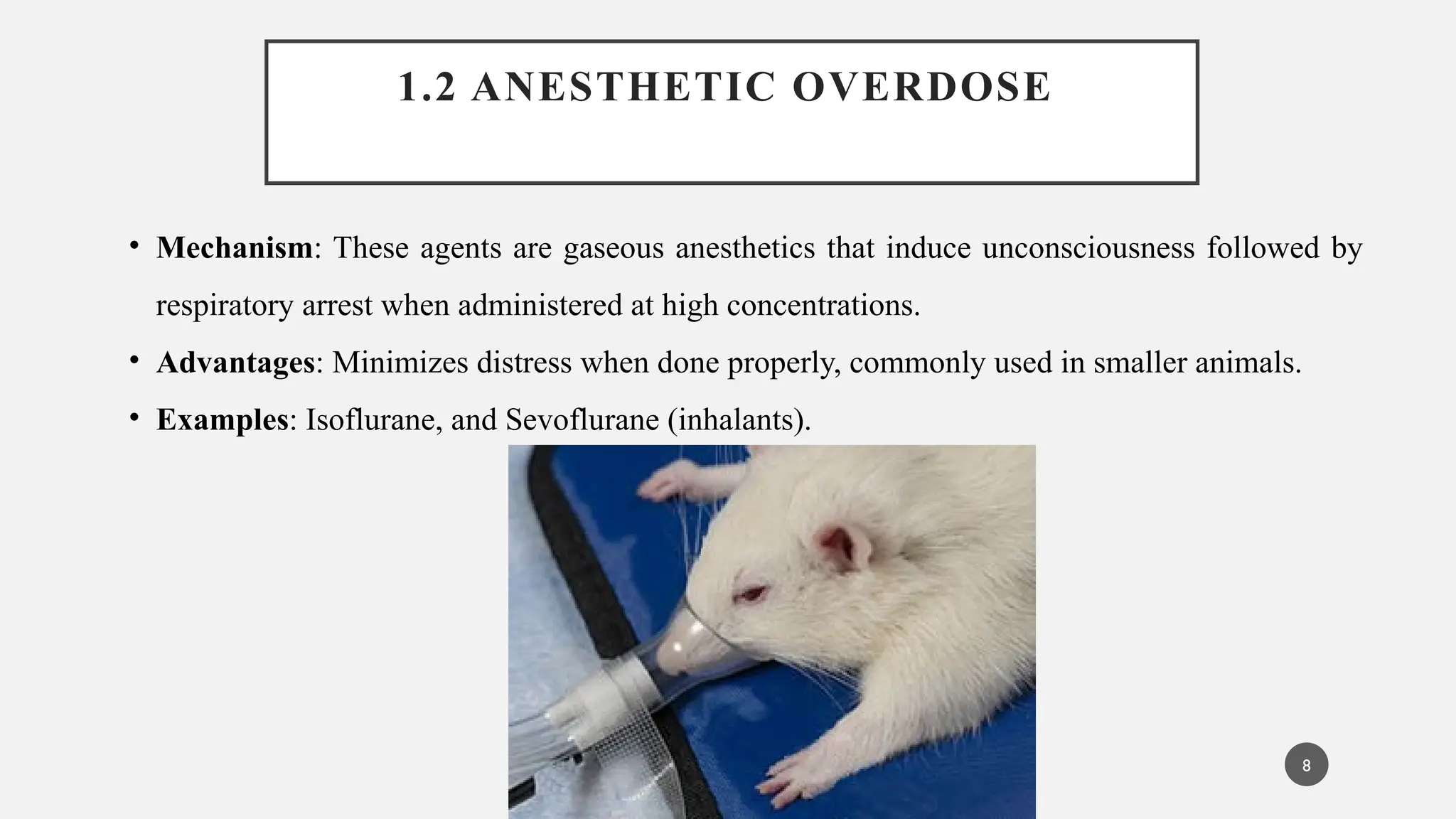 Euthanasia in Biomedical Research: Methods, Ethics, and Regulatory ...