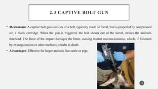 Euthanasia in Biomedical Research: Methods, Ethics, and Regulatory ...