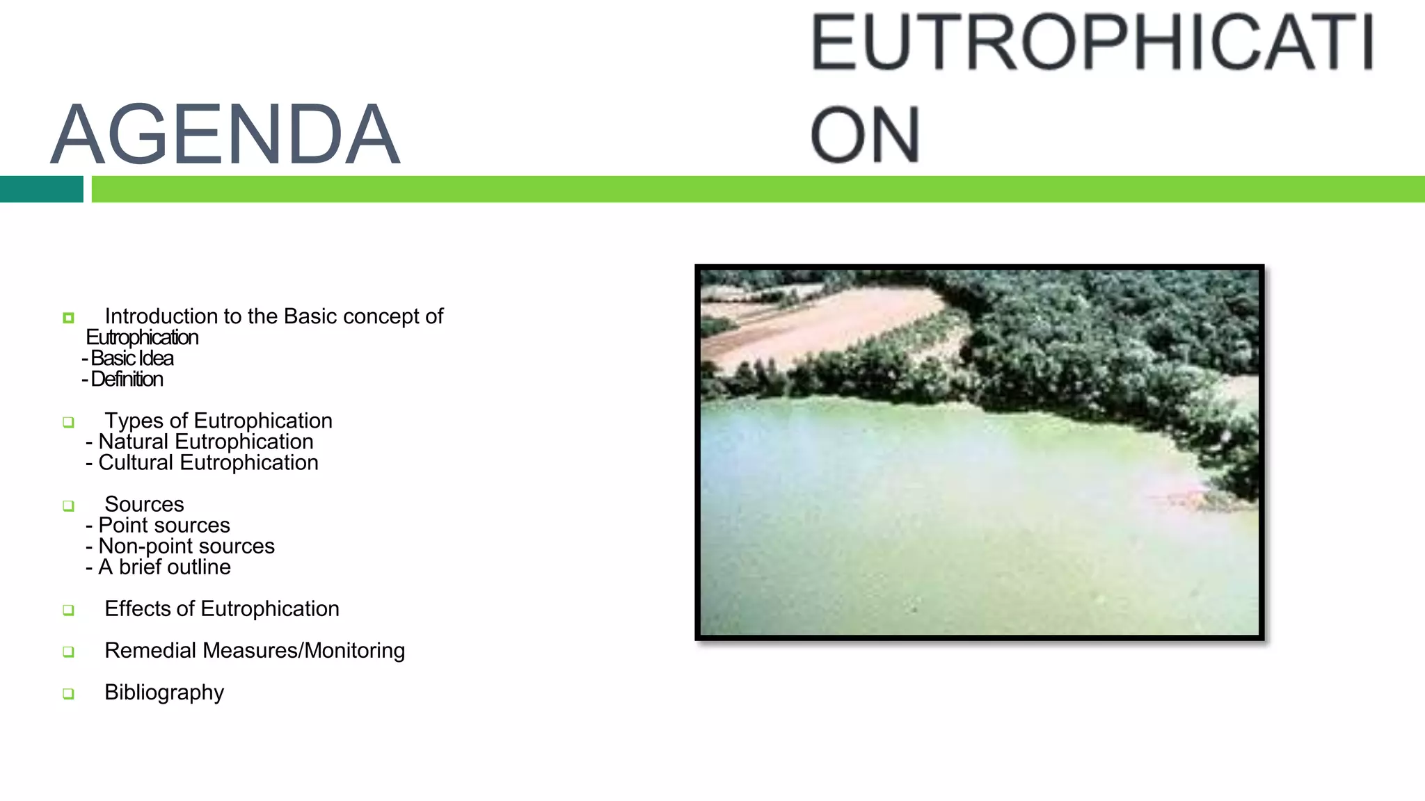Eutrophication | PPTX
