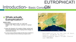 Eutrophication | PPTX
