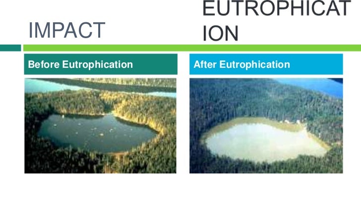 Eutrophication Before And After What Is The True Impact Of Dredging