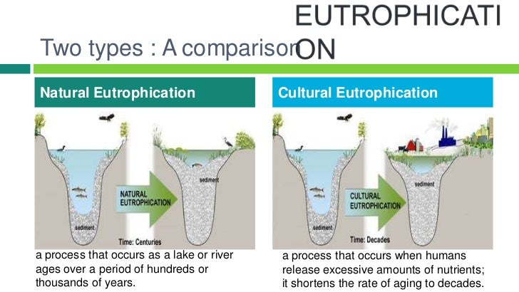 Eutrophication