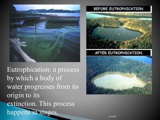 Eutrophication | PPT