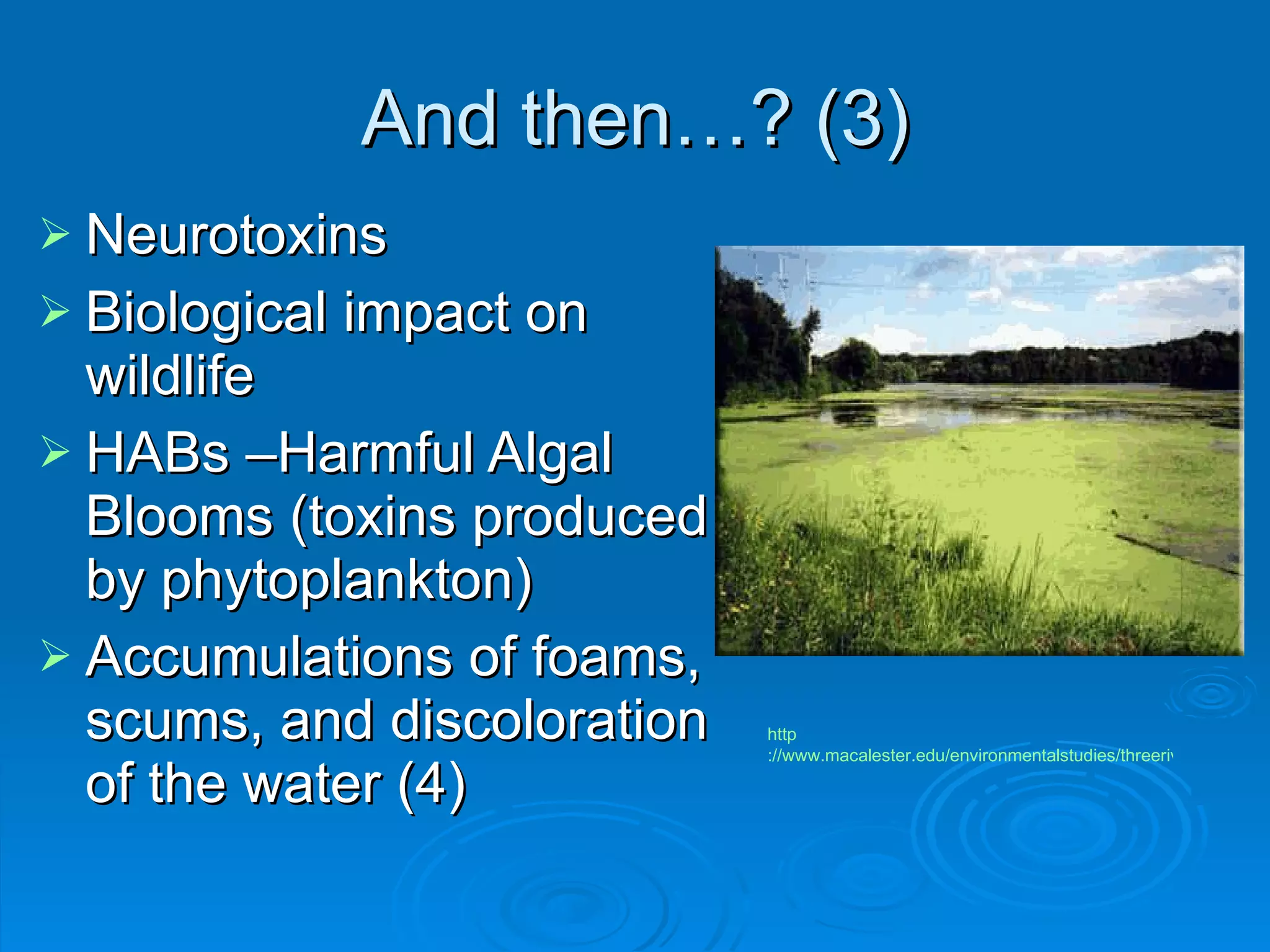 Eutrophication | PPT