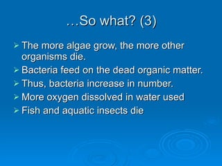 Eutrophication | PPT