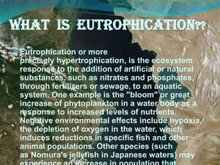 Eutrophication | PPT