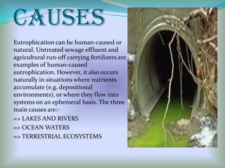 Eutrophication | PPT