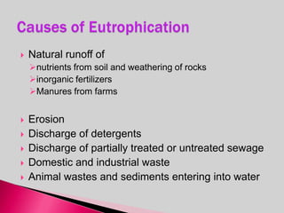 Causes Of Eutrophication