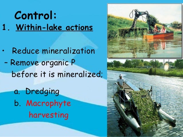 Eutrophication