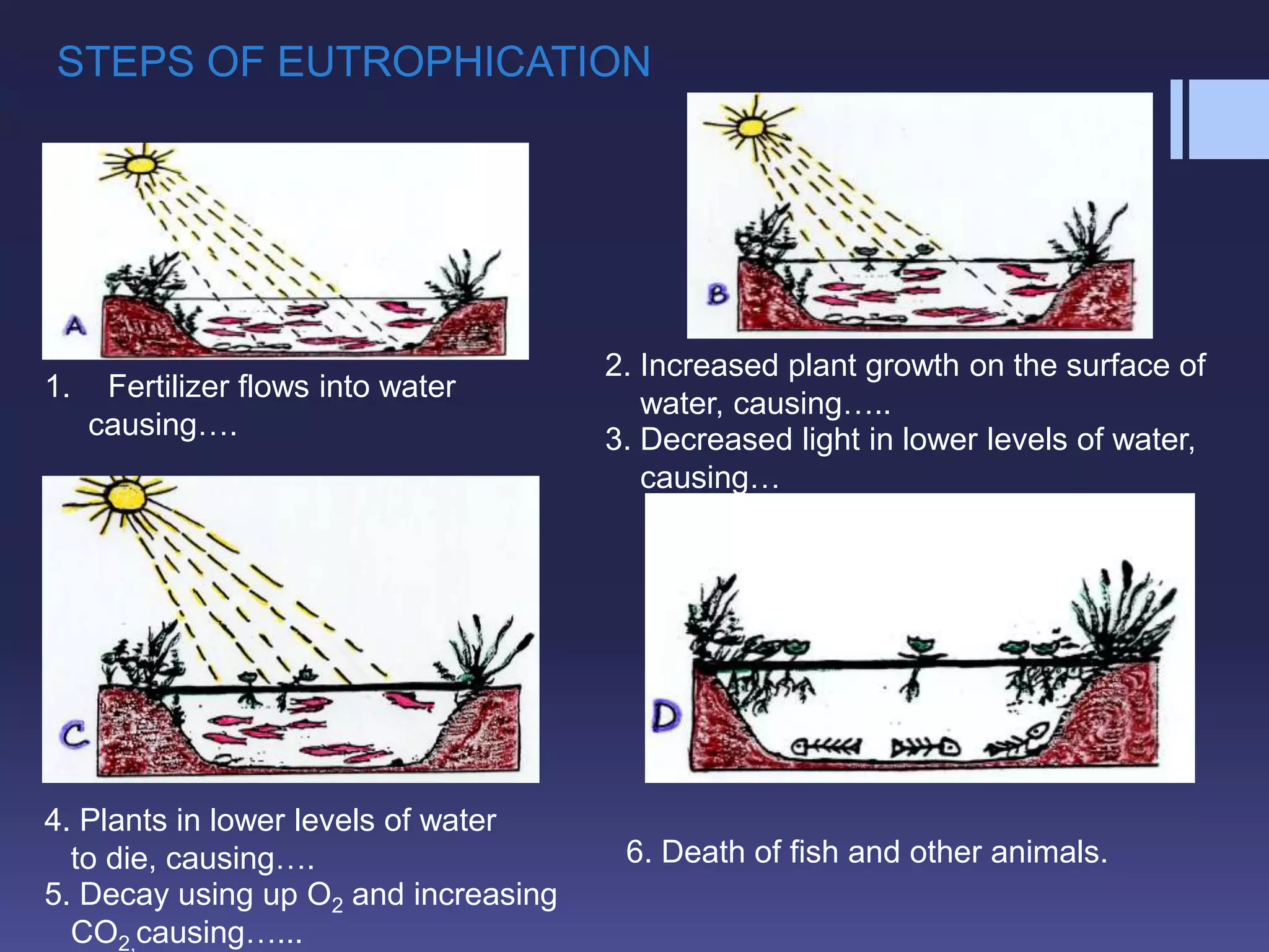 Eutrophication Process 6 Steps
