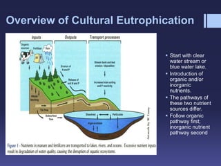 Eutrophication | PPT