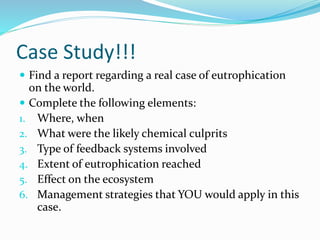 Eutrophication | PPT