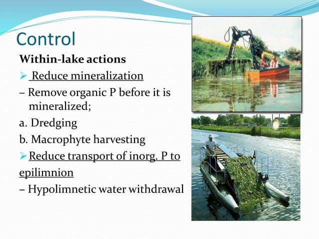 Eutrophication | PPTX
