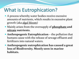 Eutrophication For Kids