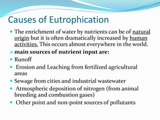 Causes Of Eutrophication