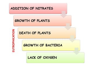 Eutrophication | PPT