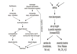 Eutrophication | PPT