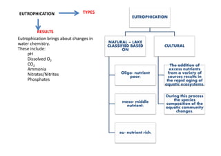 Eutrophication | PPT