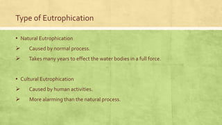 Eutrophication | PPTX