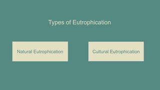 Eutrophication | PPTX