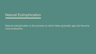 Eutrophication | PPTX | Indoor Environmental Quality | Home & Garden