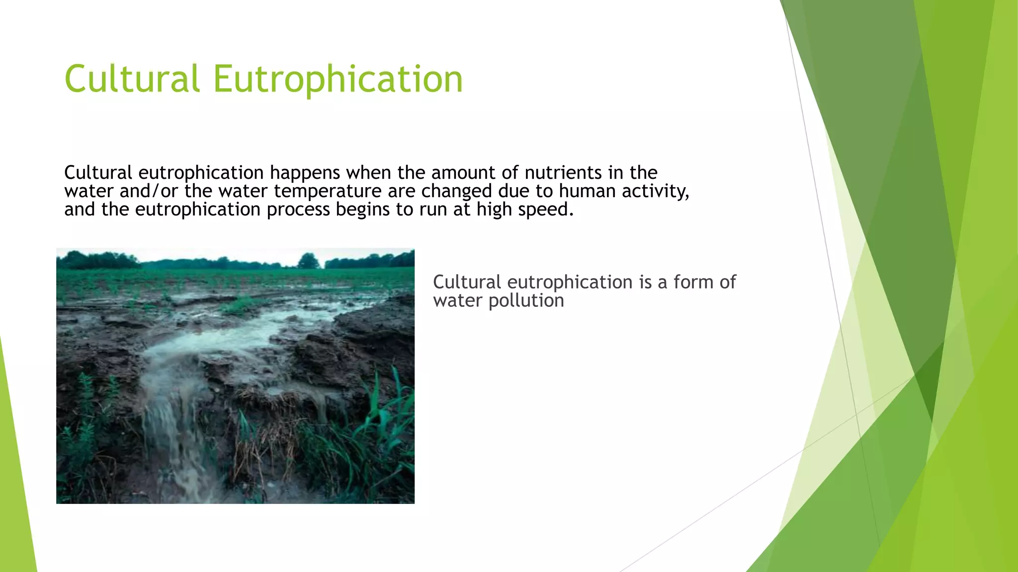 Eutrophication | PPTX