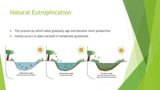 Eutrophication | PPTX