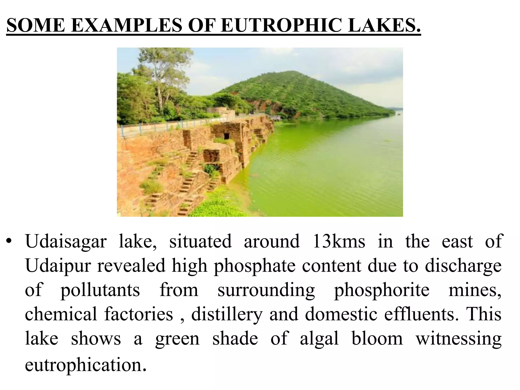 Eutrophication | PPTX