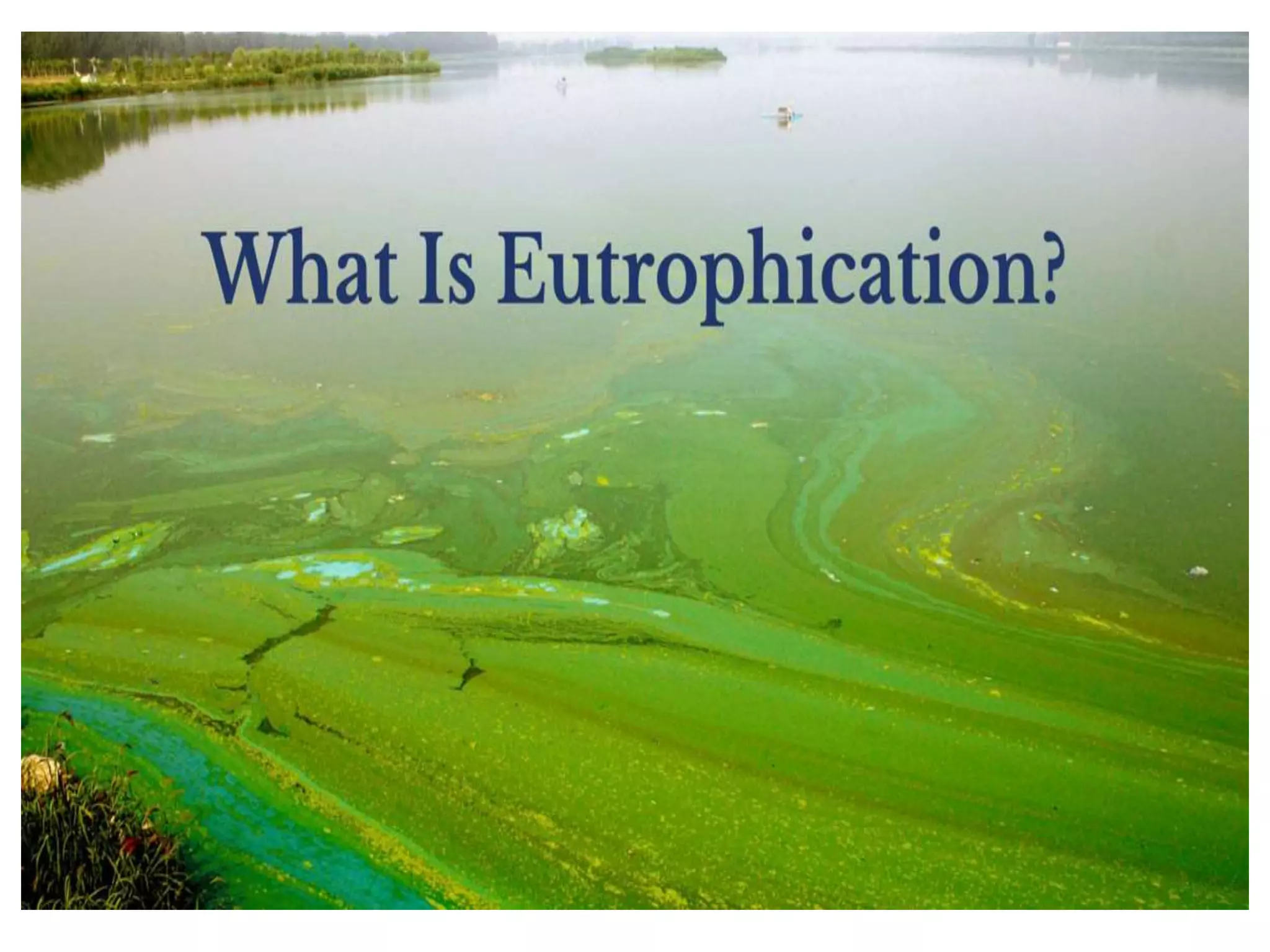 Eutrophication | PPTX