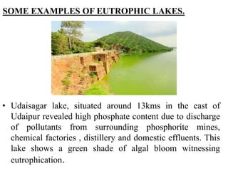 Eutrophication | PPTX