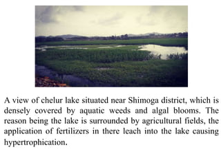 Eutrophication | PPTX