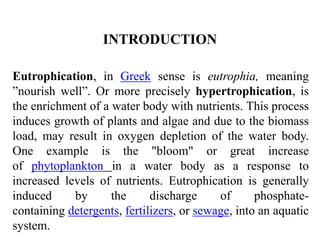 Eutrophication | PPTX