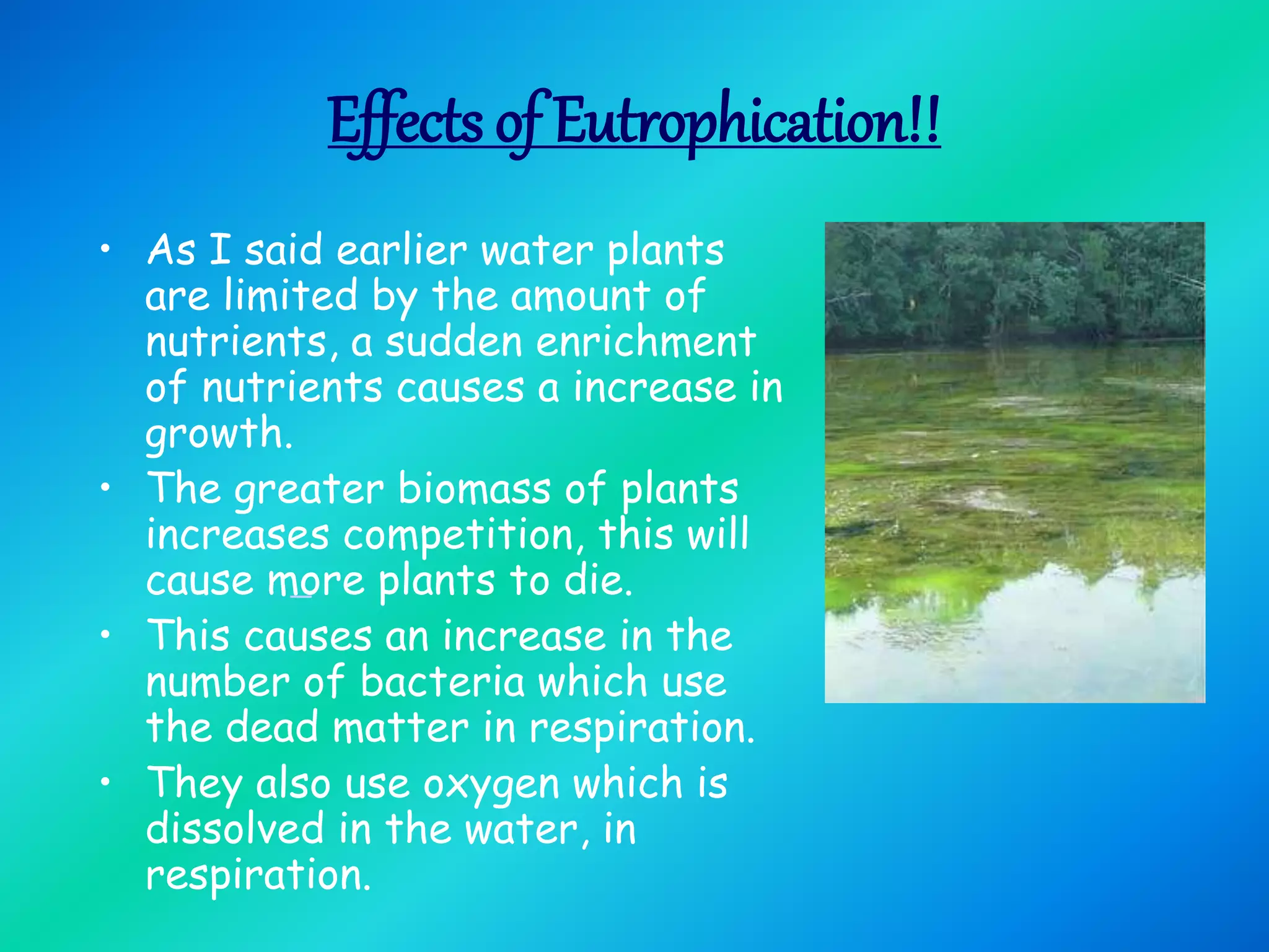 Eutrophication OR hypertrophication | PPT